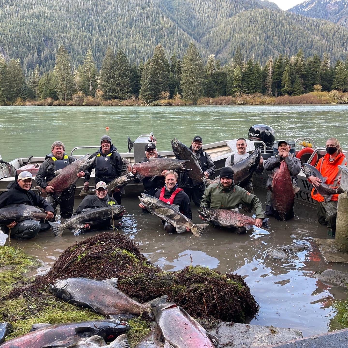 Wannock River Chinook – The Kings' Stronghold – Islander Reels