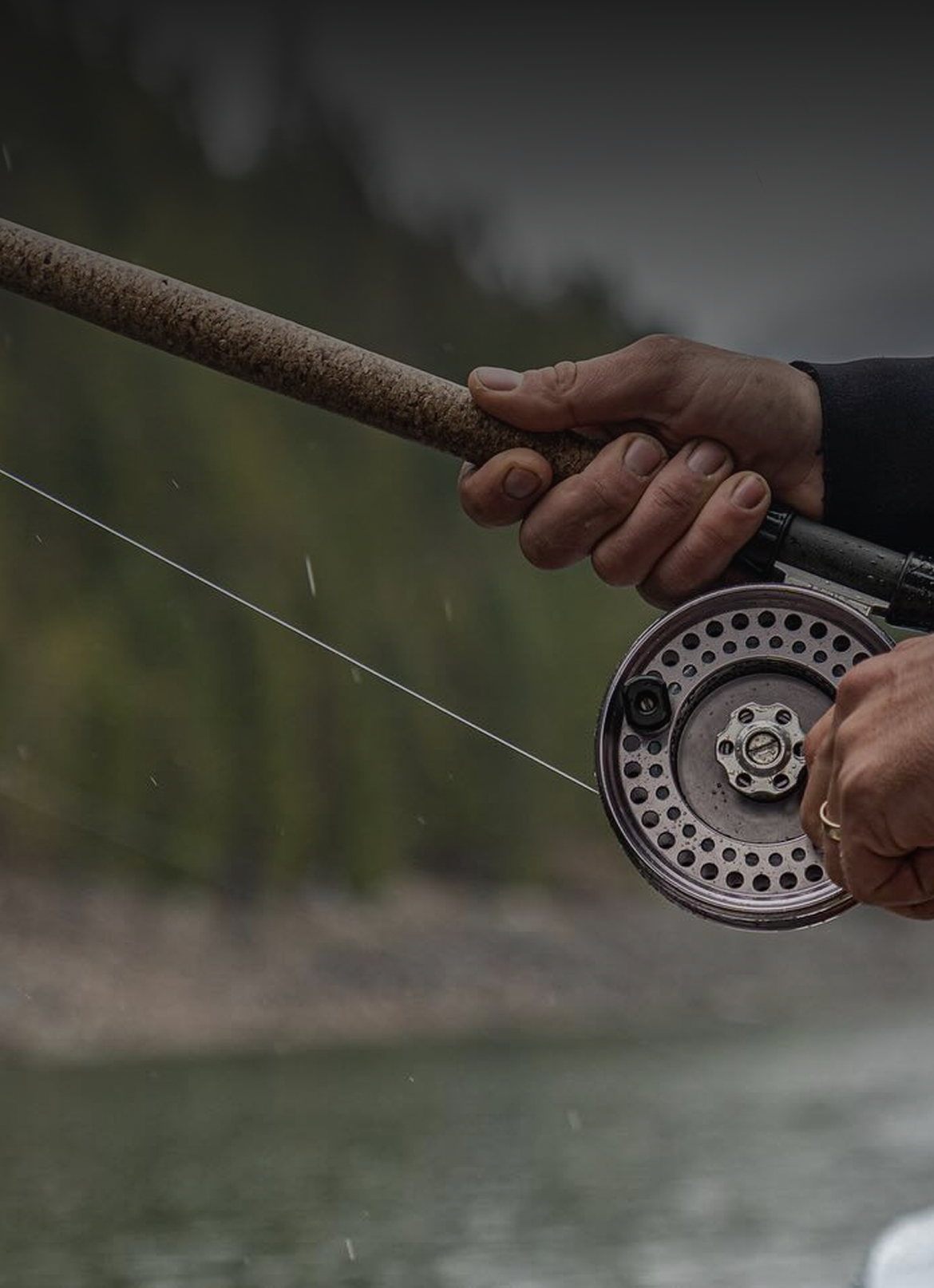 Islander Reels