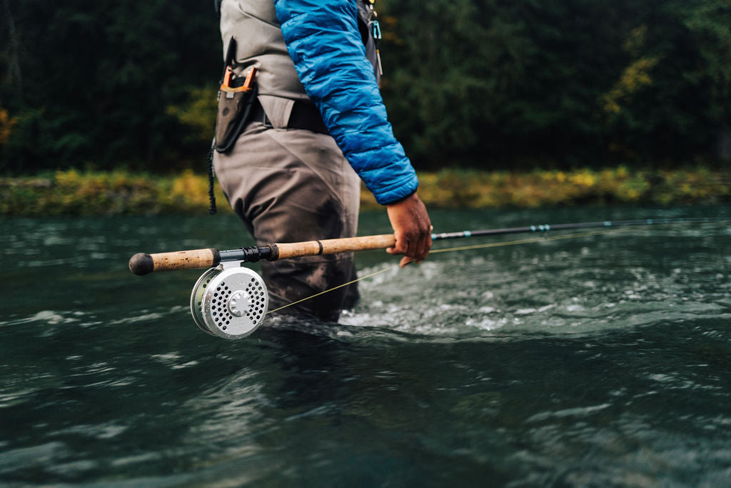 Islander Reels